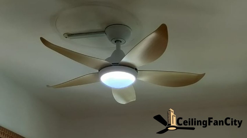 featured-5-reasons-alpha-ceiling-fans-are-ideal-for-singapores-hot-and ...
